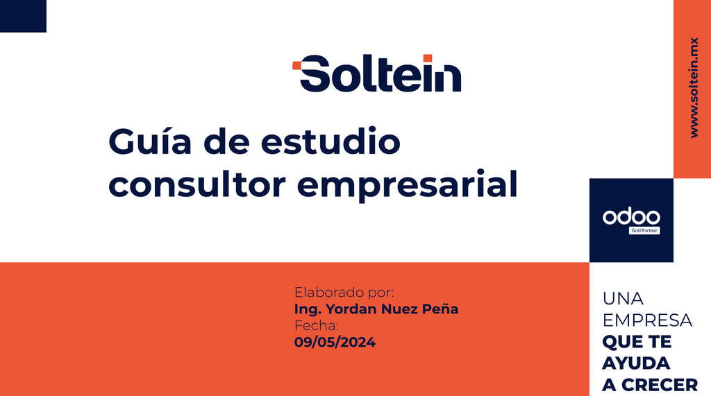 Guía de estudio consultor Gestión empresarial | EVA Soltein
